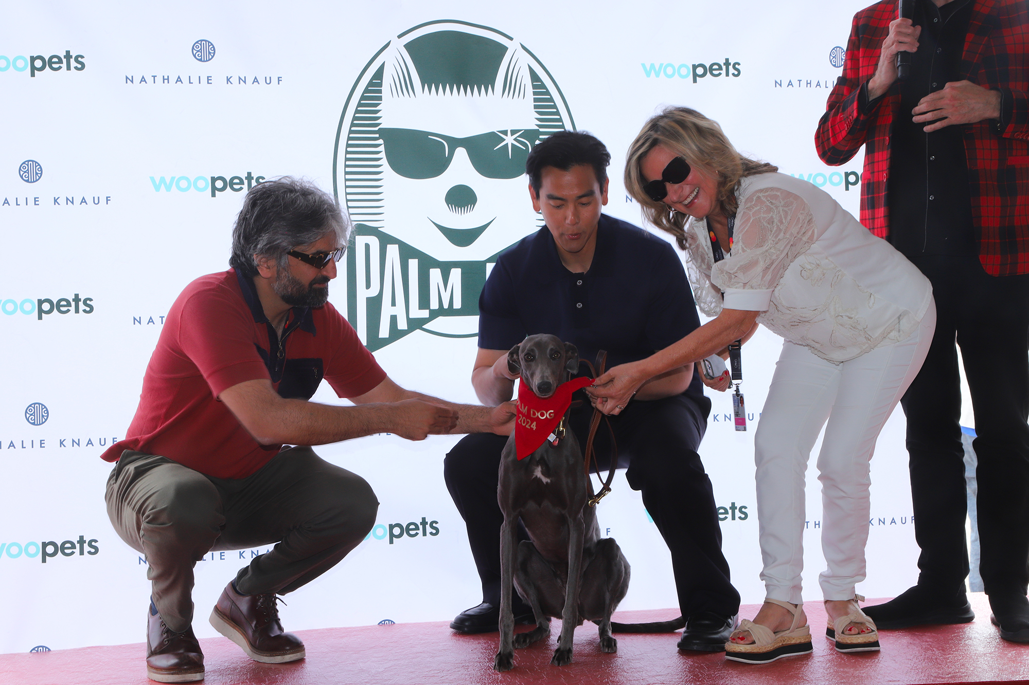 Edition 2024 - Palm Dog Woopets