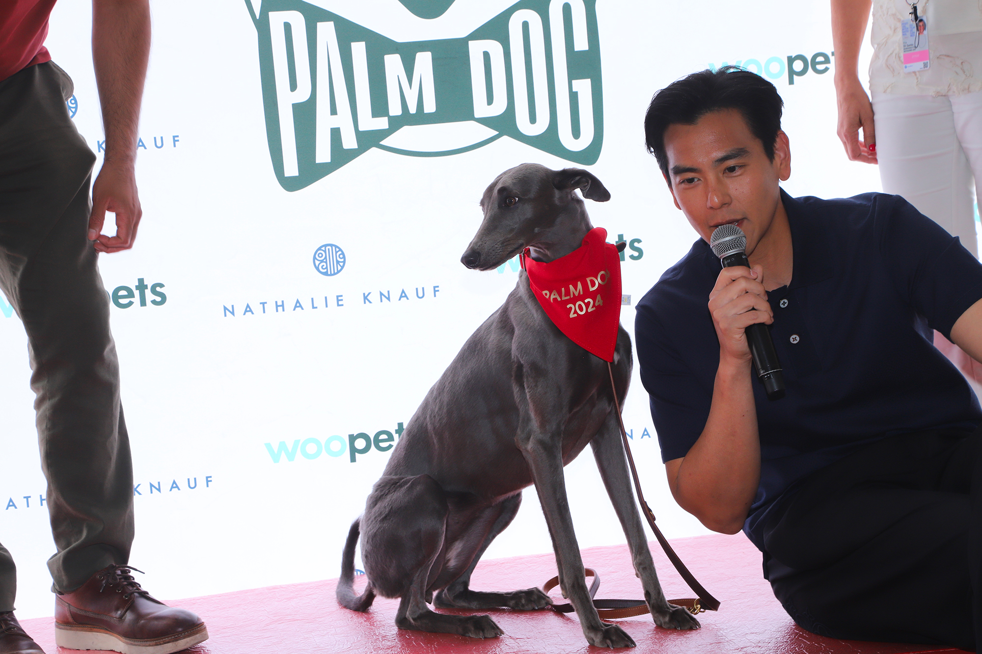 Edition 2024 - Palm Dog Woopets
