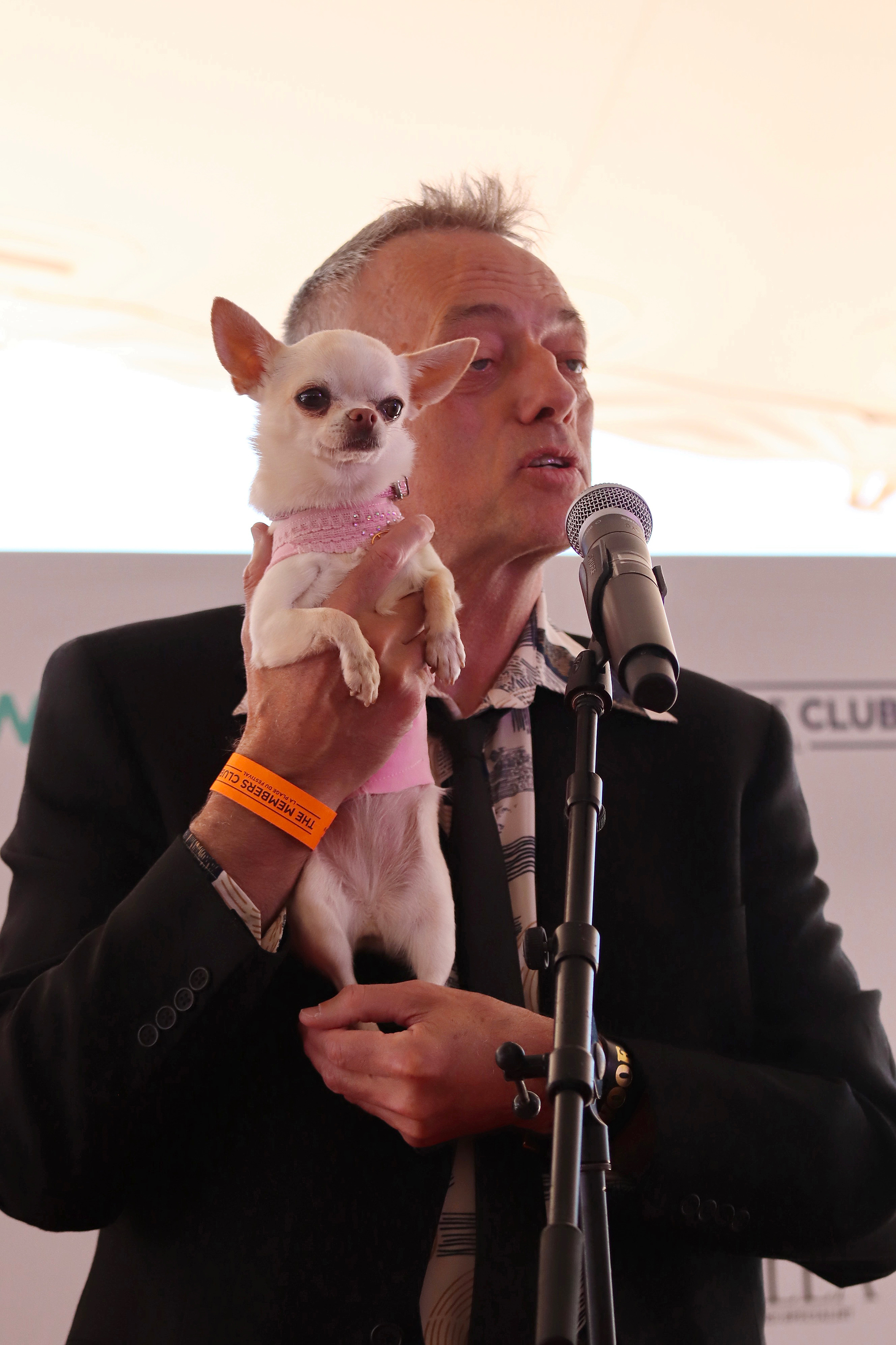 Edition 2025 - Palm Dog